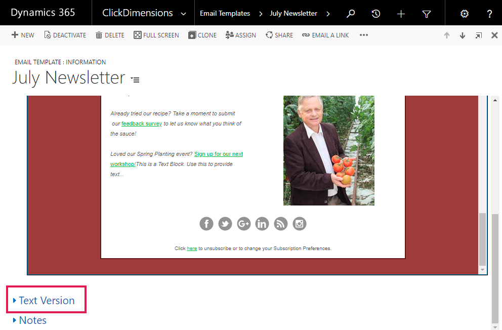 Text Version of an Email Template – Click Support